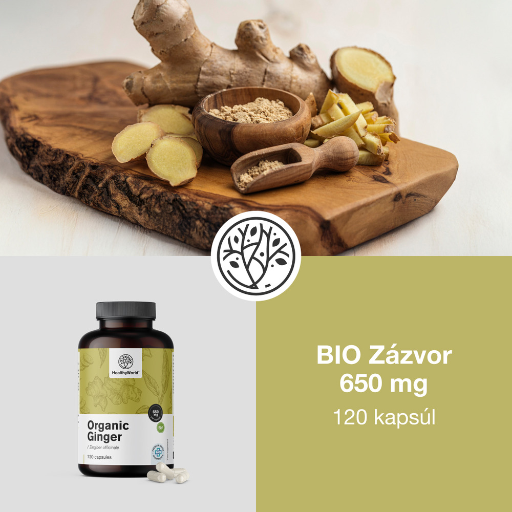 BIO Zázvor 650 mg, 120 kapsúl - FutuNatura.sk